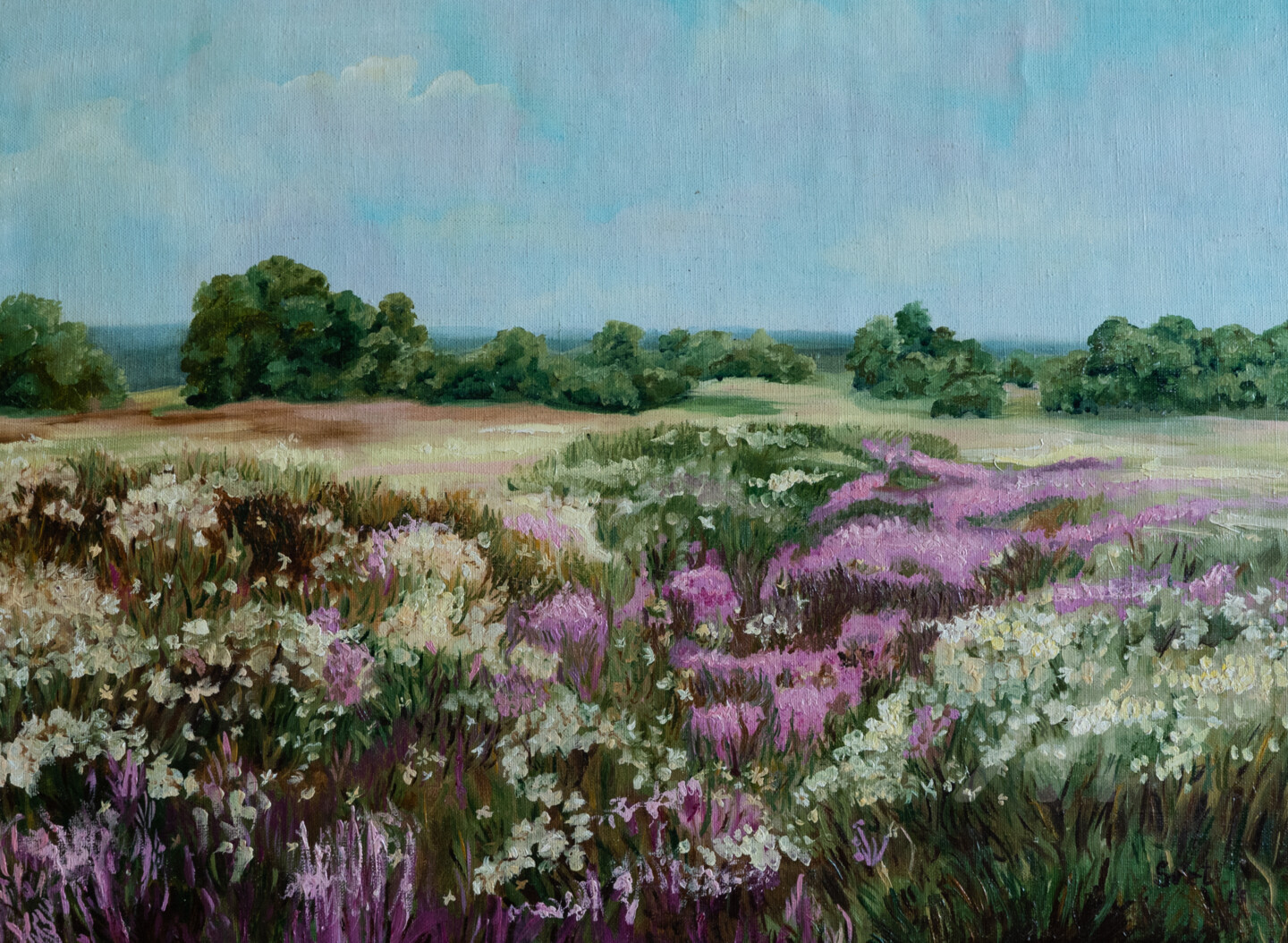 Spring Field, Painting by Svet Schiel Gallery | ArtMajeur