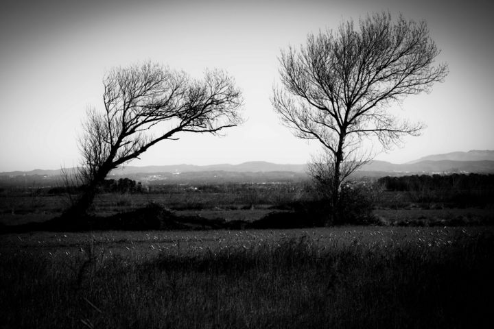 130.000 Artistas portugueses contemporâneos (Portugal) | ArtMajeur